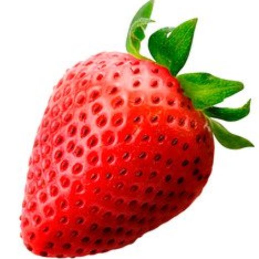 Photos - Florida Strawberry Festival